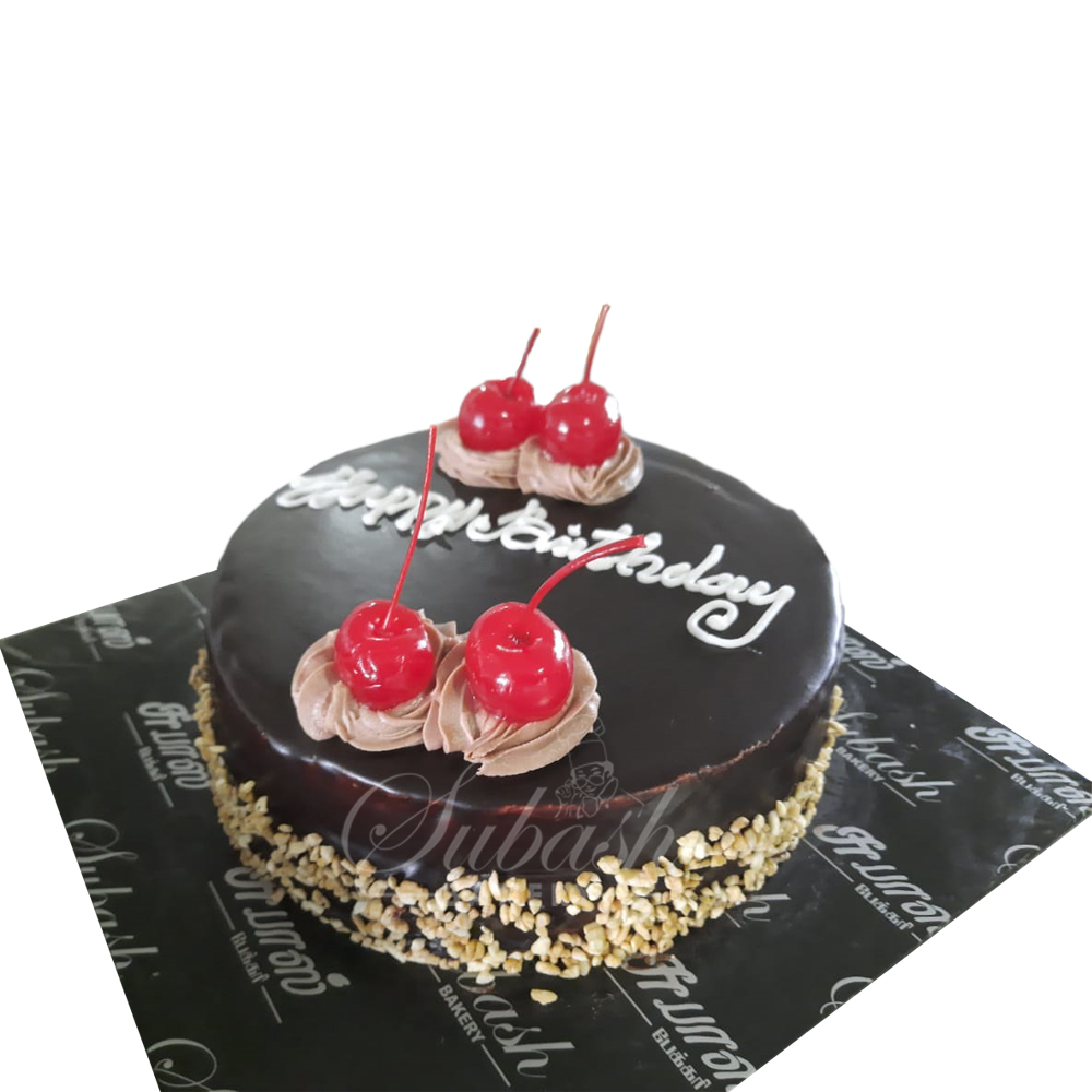 Gatto Cake | Subash Bakery