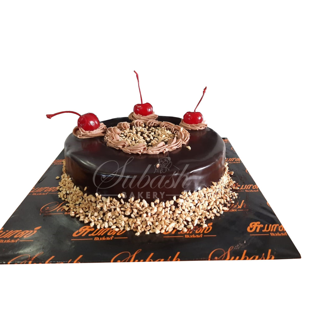 Gatto | Subash Bakery
