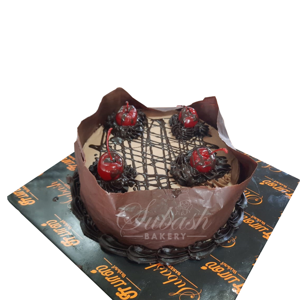 Gatto | Subash Bakery