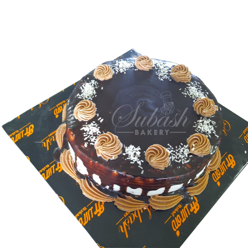 Gatto | Subash Bakery