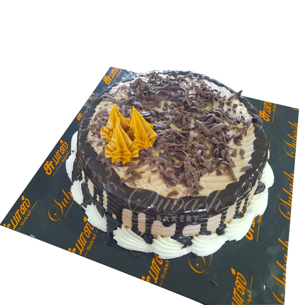 Gatto | Subash Bakery