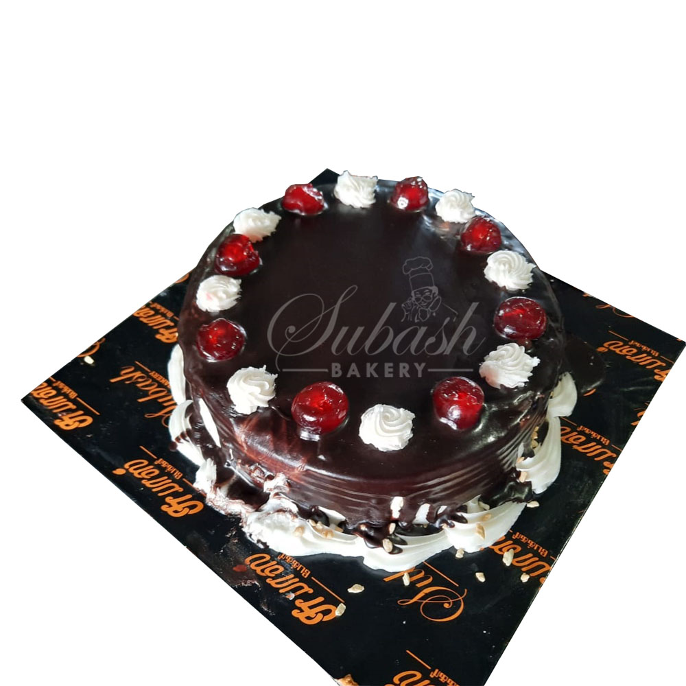 Gatto | Subash Bakery