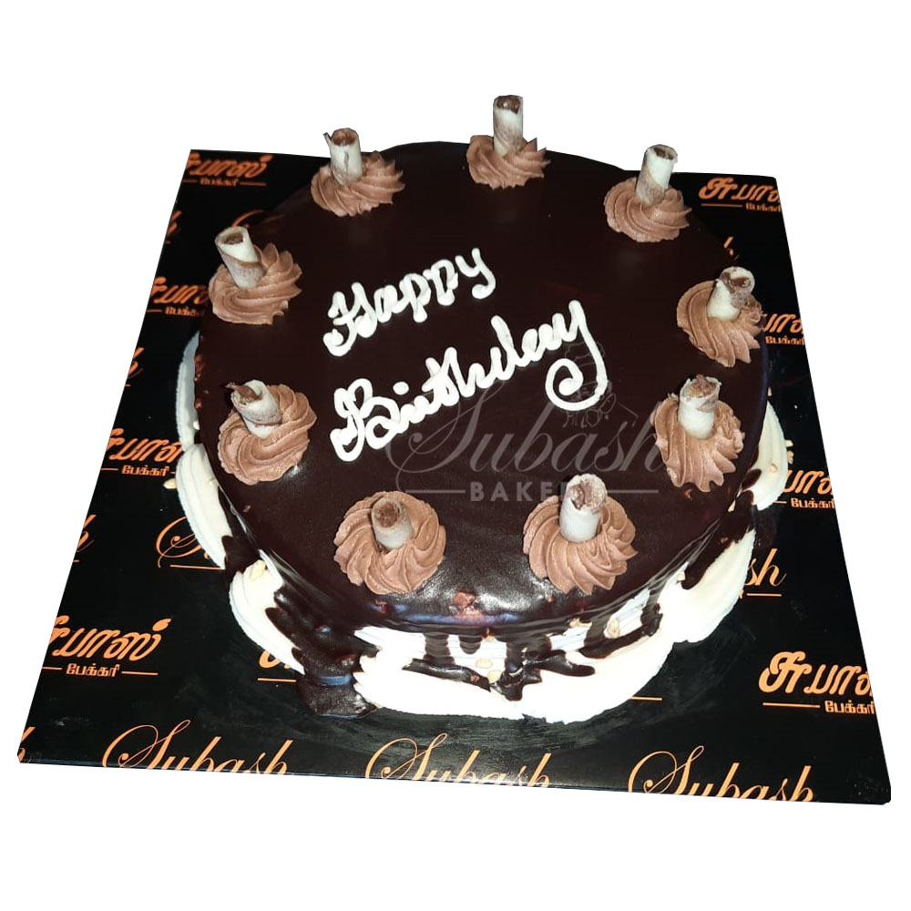 Gatto | Subash Bakery