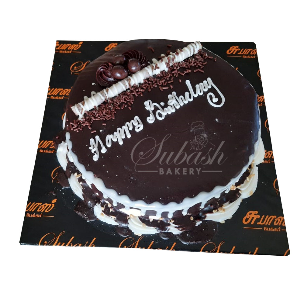 Gatto | Subash Bakery