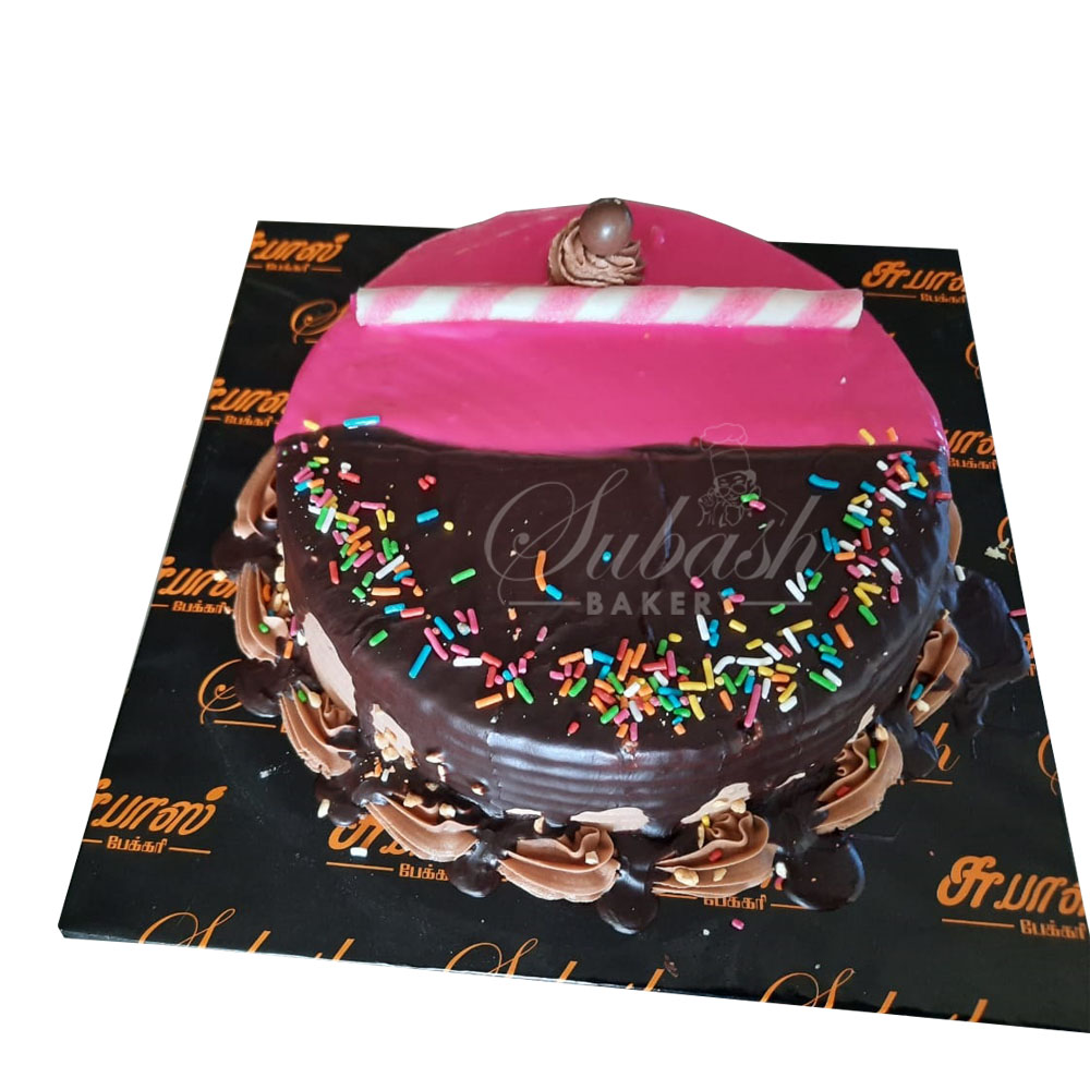 Gatto | Subash Bakery