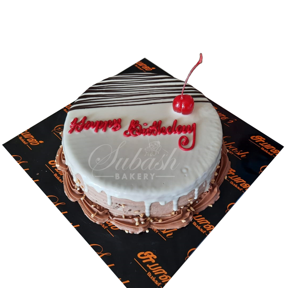 Gatto | Subash Bakery